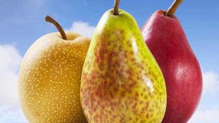 5 Incredible Benefits of Fruits | Organic Facts