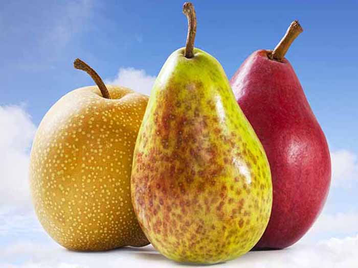 8 Amazing Types Of Pears | Organic Facts