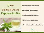9 Health Benefits of Peppermint Tea for Sleep & Weight | Organic Facts