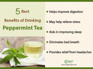 9 Health Benefits of Peppermint Tea for Sleep & Weight | Organic Facts