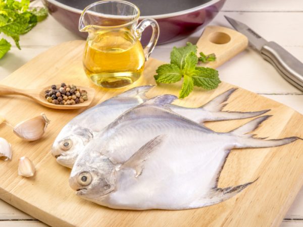 What is Pompano Fish | Organic Facts