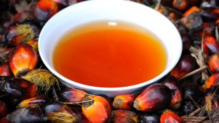 Check Out The Comprehensive List Of Oils & Their Benefits | Organic Facts