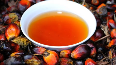 Check Out The Comprehensive List Of Oils & Their Benefits | Organic Facts