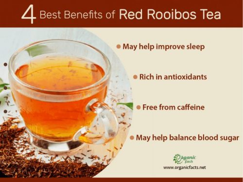 11 Amazing Health Benefits of Red Rooibos Tea | Organic Facts
