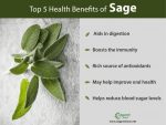 11 Impressive Benefits of Sage | Organic Facts