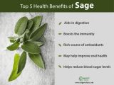 11 Impressive Benefits of Sage | Organic Facts