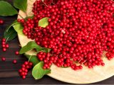 20 Surprising Benefits of Schisandra | Organic Facts