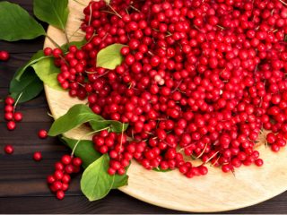 20 Surprising Benefits of Schisandra | Organic Facts