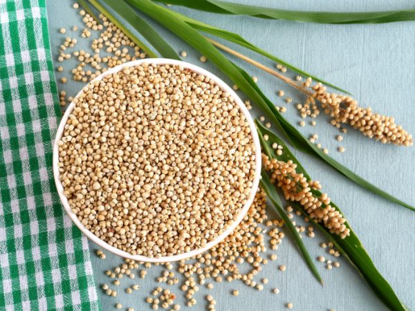 7 Surprising Benefits of Sorghum | Organic Facts