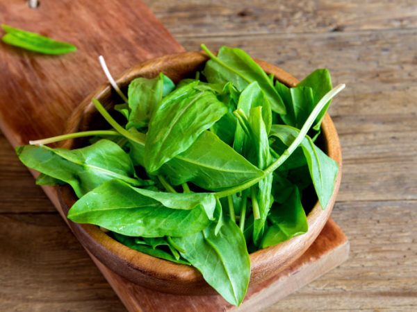 9 Surprising Sorrel Benefits | Organic Facts