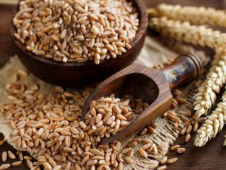 8 Surprising Benefits of Spelt | Organic Facts