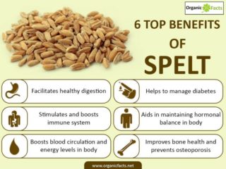 8 Surprising Benefits of Spelt | Organic Facts