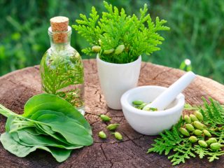 11 Incredible Benefits of Thuja Essential Oil | Organic Facts