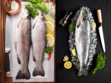 Difference Between Trout vs Salmon | Organic Facts
