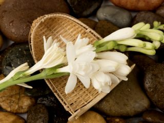 8 Amazing Benefits of Tuberose | Organic Facts