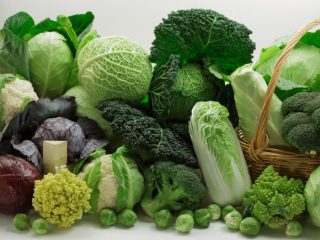 6 Different Types of Cabbage | Organic Facts