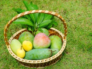 9 Popular Types of Mango | Organic Facts