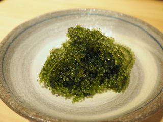 Umibudo (Sea Grapes): Taste, Benefits, & How To Use | Organic Facts