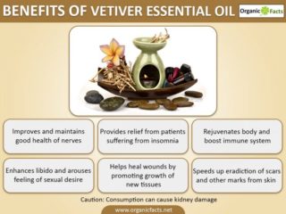 8 Surprising Benefits of Vetiver Essential Oil | Organic Facts