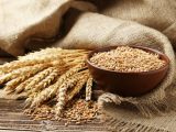 16 Incredible Wheat Benefits | Organic Facts