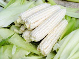 White Corn Nutrition & Uses | Organic Facts